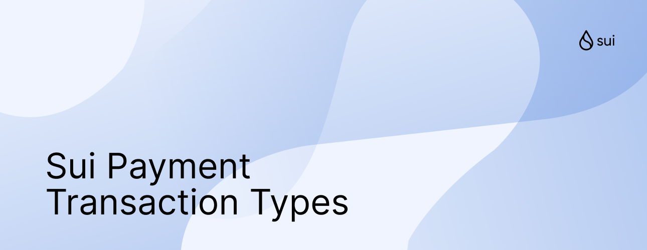 Introducing Sui Payment Transaction Types